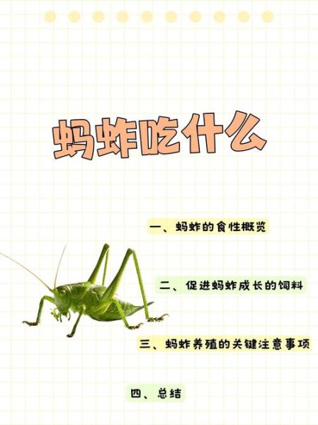 蚂蚱吃什么_蚂蚱喜欢吃什么食物-第1张图片-山城妙识 蚂蚱吃什么_蚂蚱喜欢吃什么食物-第1张图片-山城妙识