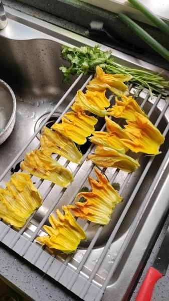 南瓜花能吃吗_南瓜花怎么吃-第1张图片-山城妙识