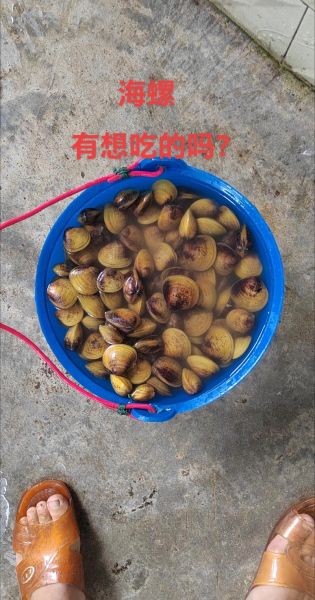 煮小海螺需要焯水吗_煮多久才最鲜嫩-第2张图片-山城妙识 煮小海螺需要焯水吗_煮多久才最鲜嫩-第2张图片-山城妙识