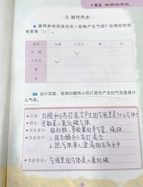 自制汽水实验报告_为什么汽水会冒泡-第1张图片-山城妙识 自制汽水实验报告_为什么汽水会冒泡-第1张图片-山城妙识