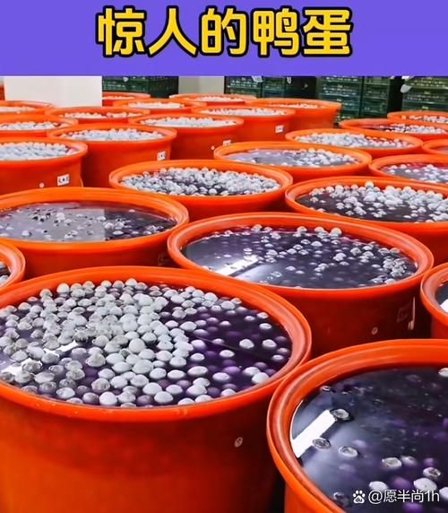 皮蛋吃多了会中毒吗_一次吃十个皮蛋会不会致死-第3张图片-山城妙识