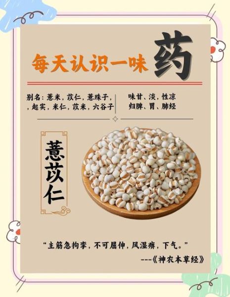 薏米仁的功效与作用及禁忌_薏米仁怎么吃才健康-第1张图片-山城妙识