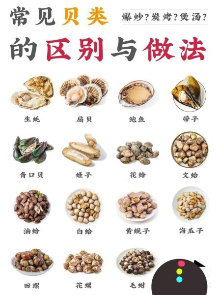 食用贝壳有哪些种类_如何挑选新鲜贝类-第3张图片-山城妙识