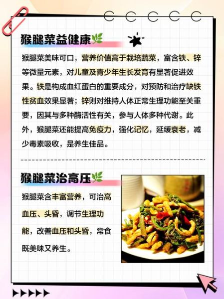 猴腿菜怎么吃_猴腿菜的做法大全-第1张图片-山城妙识