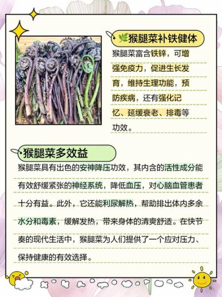 猴腿菜怎么吃_猴腿菜的做法大全-第2张图片-山城妙识