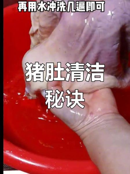 猪肚怎么清洗干净又简单_猪肚清洗最快方法-第3张图片-山城妙识 猪肚怎么清洗干净又简单_猪肚清洗最快方法-第3张图片-山城妙识