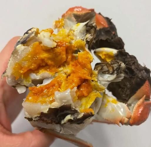 阳澄湖大闸蟹官网在哪_如何辨别真假-第2张图片-山城妙识