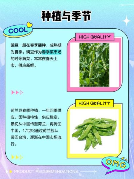 荷兰豆是豌豆吗_荷兰豆和豌豆的区别-第1张图片-山城妙识