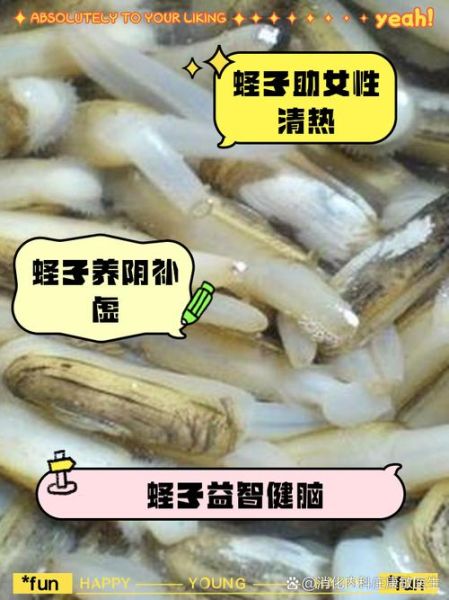 蛏子鼻子为什么不能吃_蛏子鼻子要不要扔掉-第1张图片-山城妙识 蛏子鼻子为什么不能吃_蛏子鼻子要不要扔掉-第1张图片-山城妙识