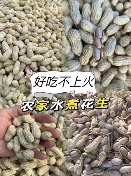 水煮花生晒干的做法窍门_水煮花生怎么晒干不变黑-第1张图片-山城妙识 水煮花生晒干的做法窍门_水煮花生怎么晒干不变黑-第1张图片-山城妙识