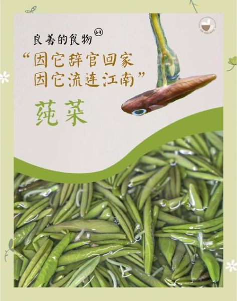 莼菜图片别名有哪些_莼菜图片怎么识别真假-第1张图片-山城妙识 莼菜图片别名有哪些_莼菜图片怎么识别真假-第1张图片-山城妙识