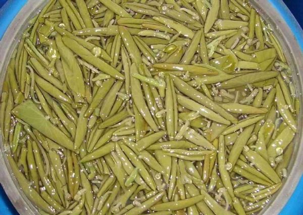 莼菜图片别名有哪些_莼菜图片怎么识别真假-第2张图片-山城妙识 莼菜图片别名有哪些_莼菜图片怎么识别真假-第2张图片-山城妙识