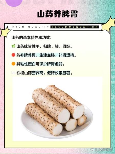 补肾填精吃什么好_如何补肾填精最有效-第1张图片-山城妙识 补肾填精吃什么好_如何补肾填精最有效-第1张图片-山城妙识