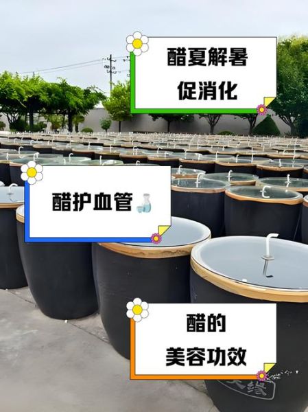 醋的功效与作用有哪些_醋能治疗哪些疾病-第2张图片-山城妙识 醋的功效与作用有哪些_醋能治疗哪些疾病-第2张图片-山城妙识