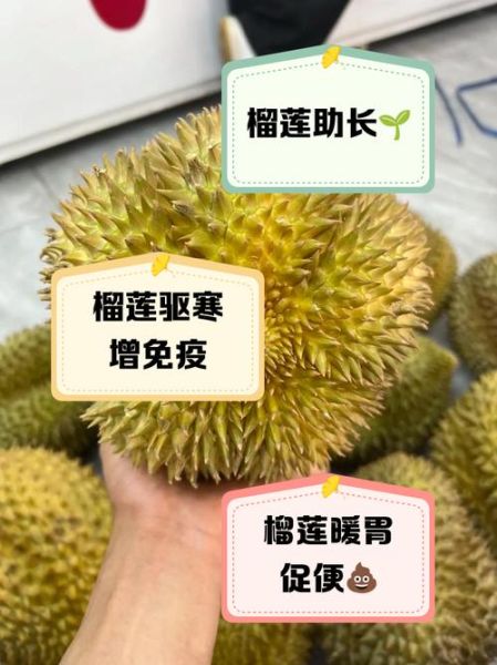 儿童吃榴莲有什么好处_小孩能吃榴莲吗-第1张图片-山城妙识 儿童吃榴莲有什么好处_小孩能吃榴莲吗-第1张图片-山城妙识