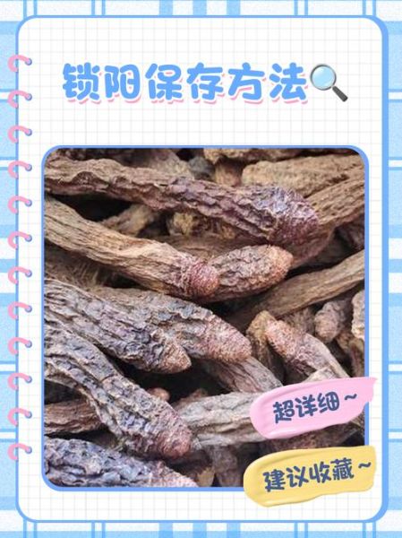 锁阳怎么吃最好_锁阳泡酒配方比例-第3张图片-山城妙识