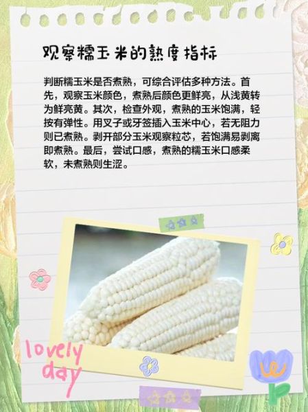 玉米煮几分钟最好吃_怎么判断玉米熟了没-第2张图片-山城妙识