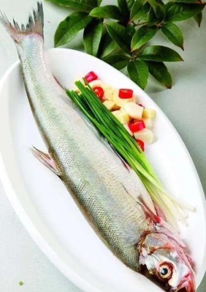 太湖三白是哪三白_太湖三白指的是什么-第2张图片-山城妙识