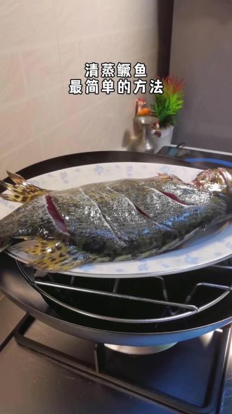 清蒸鲑鱼怎么做_清蒸鲑鱼最简单做法-第1张图片-山城妙识 清蒸鲑鱼怎么做_清蒸鲑鱼最简单做法-第1张图片-山城妙识