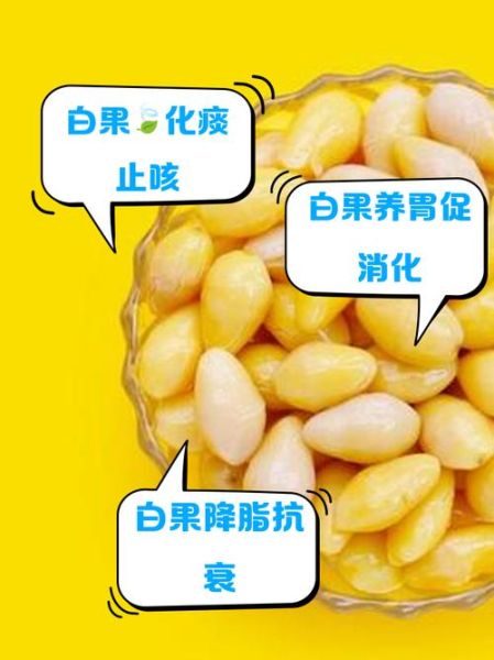 白果吃了有什么好处和坏处_一天最多吃几颗-第1张图片-山城妙识 白果吃了有什么好处和坏处_一天最多吃几颗-第1张图片-山城妙识