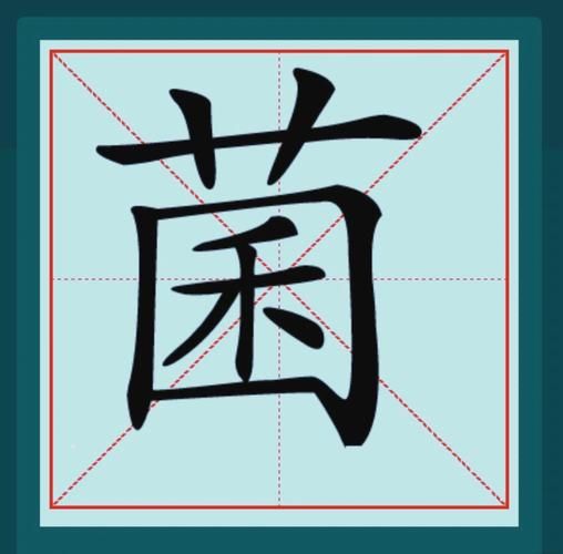 菇的拼音怎么写_菇的拼音是几声调-第1张图片-山城妙识