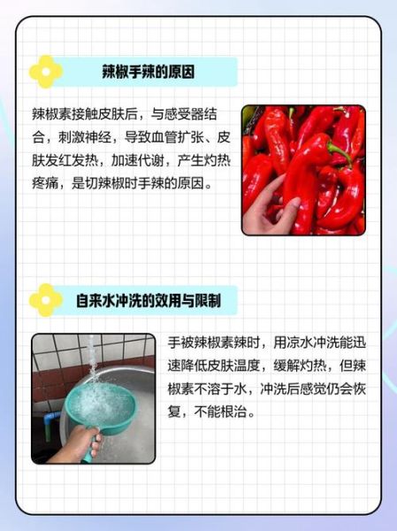 手被辣椒辣了怎么办_手被辣椒辣了用什么洗-第1张图片-山城妙识 手被辣椒辣了怎么办_手被辣椒辣了用什么洗-第1张图片-山城妙识