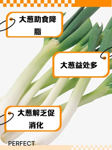 大葱能壮阳补肾吗_大葱壮阳是真的吗-第2张图片-山城妙识 大葱能壮阳补肾吗_大葱壮阳是真的吗-第2张图片-山城妙识