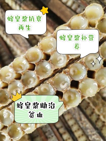 蜂皇浆的功效与作用_蜂皇浆怎么吃效果最好-第1张图片-山城妙识 蜂皇浆的功效与作用_蜂皇浆怎么吃效果最好-第1张图片-山城妙识
