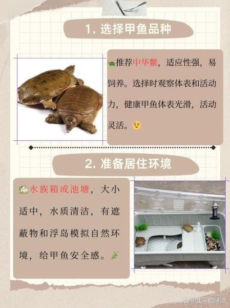 一亩养多少甲鱼_甲鱼养殖密度怎么算-第2张图片-山城妙识 一亩养多少甲鱼_甲鱼养殖密度怎么算-第2张图片-山城妙识