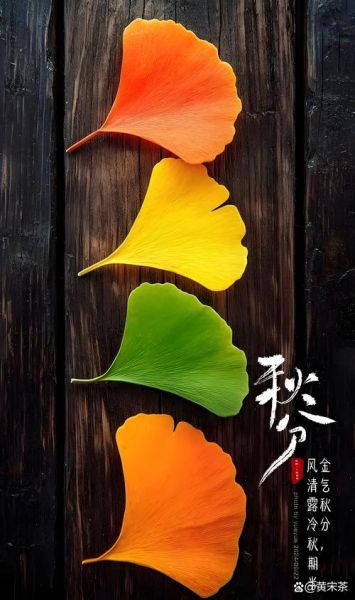 秋分是哪一天_秋分节气具体日期-第1张图片-山城妙识 秋分是哪一天_秋分节气具体日期-第1张图片-山城妙识