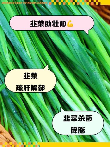 韭菜怎么吃壮阳效果好_韭菜壮阳食谱推荐-第3张图片-山城妙识 韭菜怎么吃壮阳效果好_韭菜壮阳食谱推荐-第3张图片-山城妙识