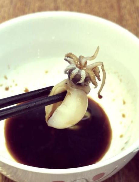 小乌贼怎么清洗_小乌贼怎么炒才嫩-第1张图片-山城妙识 小乌贼怎么清洗_小乌贼怎么炒才嫩-第1张图片-山城妙识