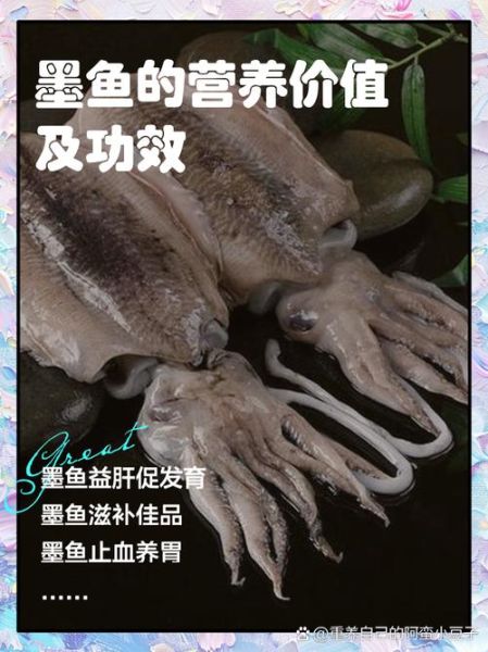 墨鱼哪些人不能吃_墨鱼禁忌人群有哪些-第1张图片-山城妙识 墨鱼哪些人不能吃_墨鱼禁忌人群有哪些-第1张图片-山城妙识