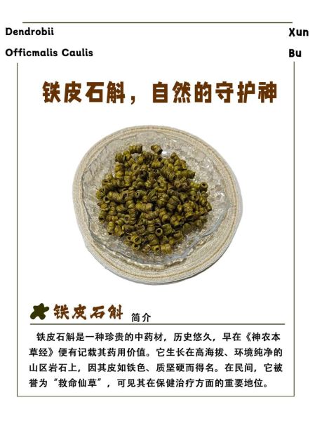 铁皮石斛为什么叫铁皮_铁皮石斛名称由来-第2张图片-山城妙识