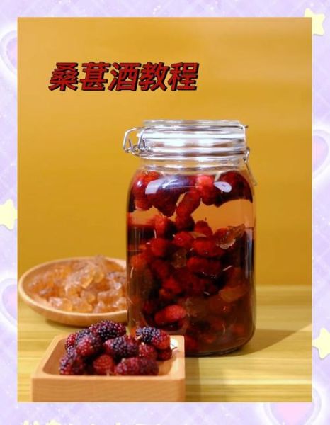 桑葚泡酒的做法大全_桑葚泡酒用什么酒好-第3张图片-山城妙识 桑葚泡酒的做法大全_桑葚泡酒用什么酒好-第3张图片-山城妙识