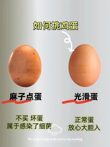 鸡蛋壳属于什么垃圾_厨余垃圾还是其他垃圾-第1张图片-山城妙识 鸡蛋壳属于什么垃圾_厨余垃圾还是其他垃圾-第1张图片-山城妙识