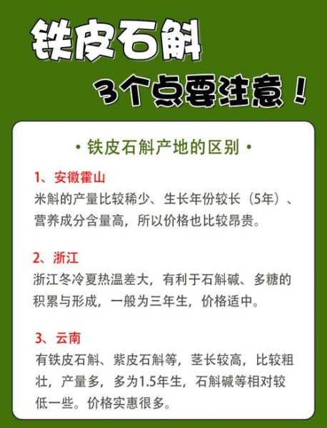 铁皮石斛为什么叫铁皮_铁皮石斛名称由来-第3张图片-山城妙识