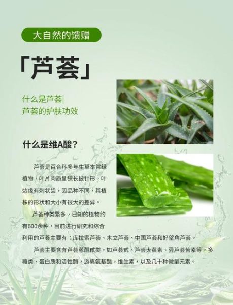 芦荟茶的功效与作用_芦荟茶能天天喝吗-第3张图片-山城妙识