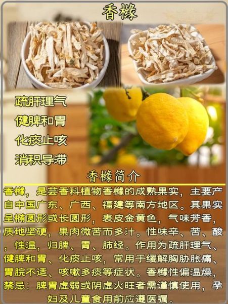 香橼的功效与作用禁忌_香橼泡水喝有什么副作用-第2张图片-山城妙识 香橼的功效与作用禁忌_香橼泡水喝有什么副作用-第2张图片-山城妙识