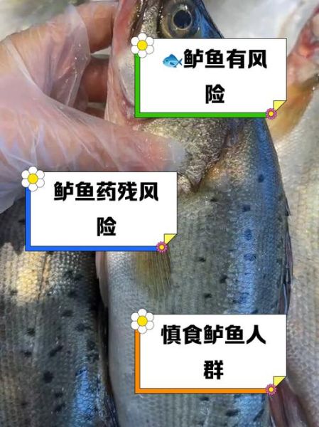 鲈鱼为何要少吃_鲈鱼吃多了有什么危害-第2张图片-山城妙识 鲈鱼为何要少吃_鲈鱼吃多了有什么危害-第2张图片-山城妙识