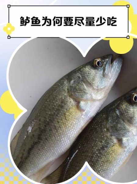 鲈鱼为何要少吃_鲈鱼吃多了有什么危害-第3张图片-山城妙识 鲈鱼为何要少吃_鲈鱼吃多了有什么危害-第3张图片-山城妙识
