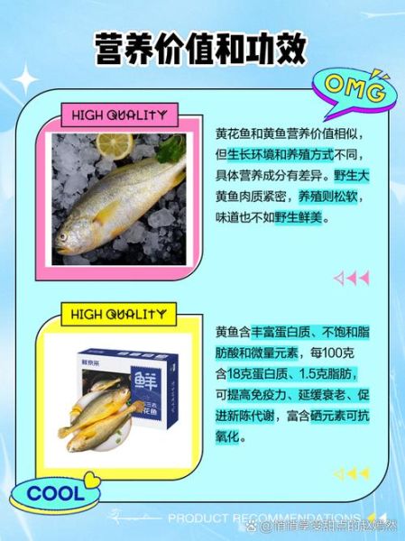 黄花鱼和黄鱼是一种鱼吗_区别在哪里-第3张图片-山城妙识 黄花鱼和黄鱼是一种鱼吗_区别在哪里-第3张图片-山城妙识