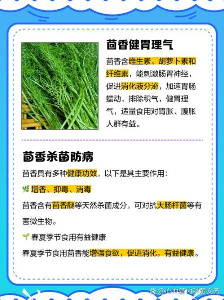 男人吃小茴香有什么好处_小茴香对男性健康的作用-第2张图片-山城妙识 男人吃小茴香有什么好处_小茴香对男性健康的作用-第2张图片-山城妙识