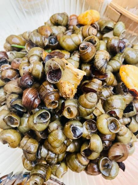 炒螺丝怎么炒好吃_家常炒螺丝的做法步骤-第3张图片-山城妙识