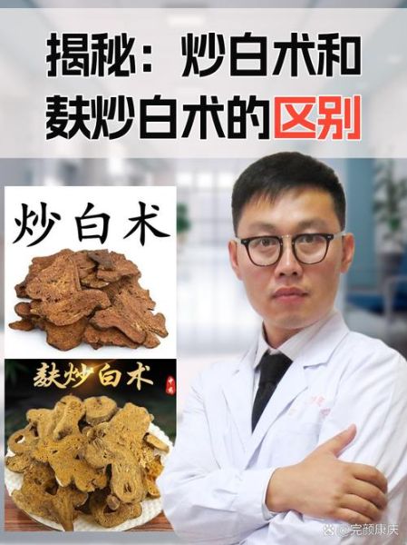 炒白术的功效与作用_炒白术怎么吃最好-第2张图片-山城妙识