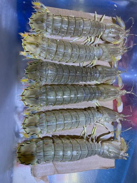 爬虾怎么做好吃_爬虾做法大全-第3张图片-山城妙识 爬虾怎么做好吃_爬虾做法大全-第3张图片-山城妙识