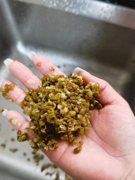 绿豆泥怎么做_绿豆泥做法窍门-第1张图片-山城妙识