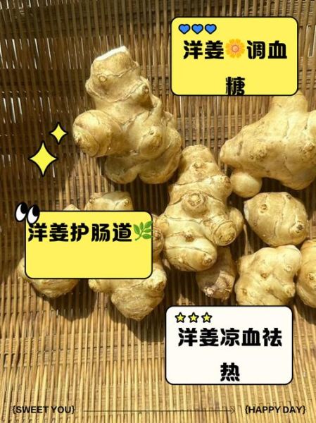 洋姜的功效与作用_洋姜的禁忌人群有哪些-第3张图片-山城妙识 洋姜的功效与作用_洋姜的禁忌人群有哪些-第3张图片-山城妙识