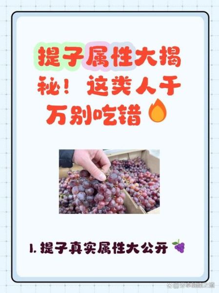 提子是寒性水果吗_提子凉性还是热性-第1张图片-山城妙识