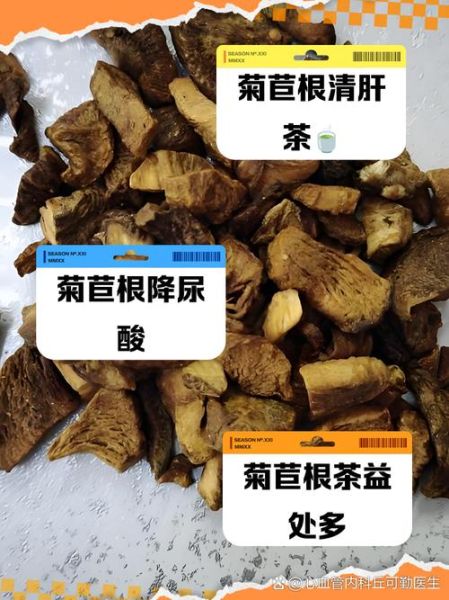 菊苣根治疗痛风怎么用_菊苣根降尿酸多久见效-第2张图片-山城妙识 菊苣根治疗痛风怎么用_菊苣根降尿酸多久见效-第2张图片-山城妙识